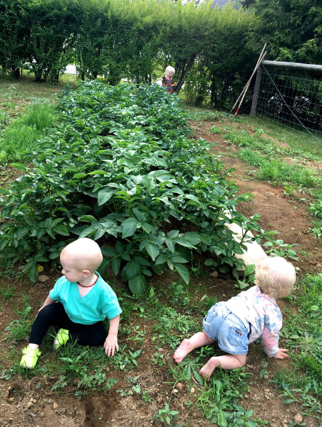 Building the Philly farm, or at least trying to - What Dreams May Become